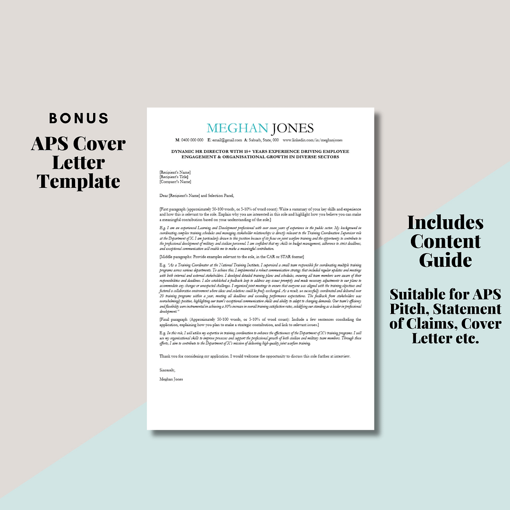 Government Resume Template - APS, State and Local Government